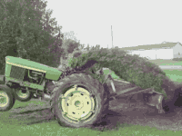 Sutherland GIFs - Get the best gif on GIFER