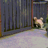 Itch GIFs - Get the best gif on GIFER