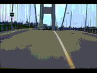 Gallop GIFs - Get the best gif on GIFER