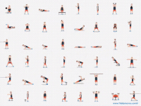 Bodyweight GIFs - Get the best gif on GIFER