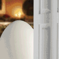 Declare GIFs - Get the best gif on GIFER