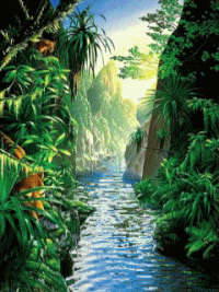 Jungle GIFs - Get the best gif on GIFER