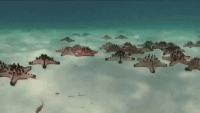 Starfish GIFs - Get the best gif on GIFER