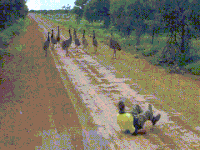Engaging GIFs - Get the best gif on GIFER