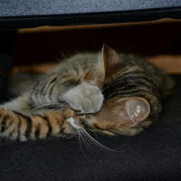 Wino GIFs - Get the best gif on GIFER