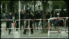 Ows гифки, анимированные GIF изображения ows - скачать гиф картинки на ...