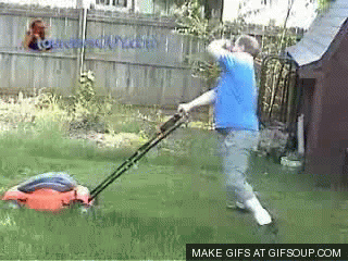 Bee attack гифки, анимированные GIF изображения bee attack - скачать ...