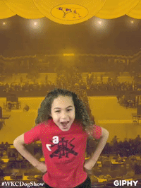 Exposition GIFs - Get the best gif on GIFER