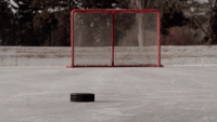 Puck GIFs - Get the best gif on GIFER