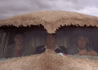 Exploit GIFs - Get the best gif on GIFER