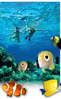 Maui youre welcome GIF - Conseguir o melhor gif em GIFER