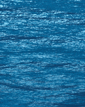 Ocean view GIF - Conseguir o melhor gif em GIFER