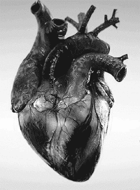 Horror GIFs - Get the best gif on GIFER
