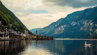 Austria GIFs - Get the best gif on GIFER