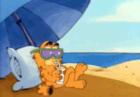 Garfield GIFs - Get the best gif on GIFER