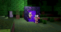 Nether GIFs - Get the best gif on GIFER