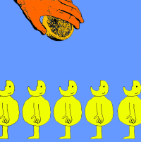 Lemon GIFs - Get the best gif on GIFER