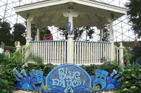 Bayou GIFs - Get the best gif on GIFER