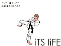 Taekwondo GIFs - Get the best gif on GIFER