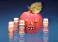 Poinsettia GIFs - Get the best gif on GIFER