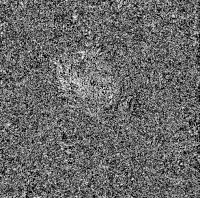 Rotten GIFs - Get the best gif on GIFER