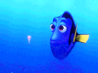 Disability GIFs - Get the best gif on GIFER