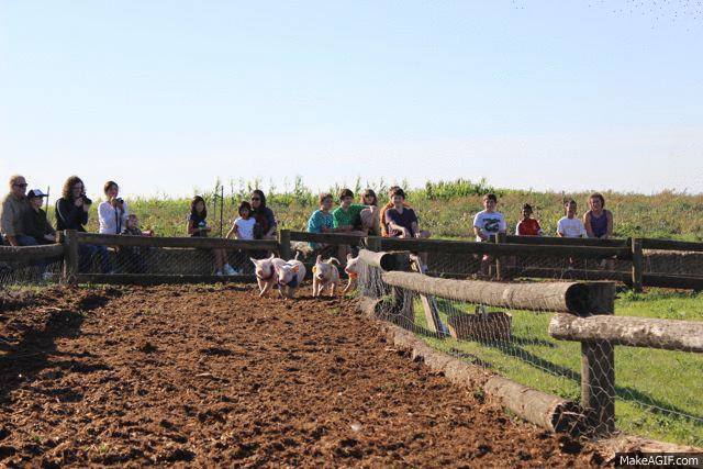 Pdx GIFs - Get the best gif on GIFER