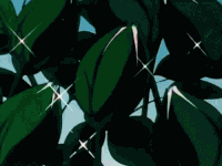 Mint GIFs - Get the best gif on GIFER