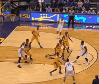 Louisiana GIFs - Get the best gif on GIFER