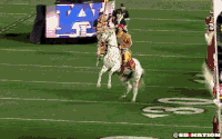 Fsu GIFs - Get the best gif on GIFER