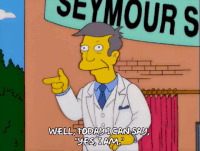 Skinner GIFs - Get the best gif on GIFER