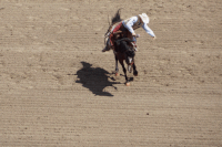 Rodeo GIFs - Get the best gif on GIFER