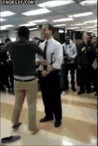 Fighting over caterpillar GIF - Conseguir o melhor gif em GIFER