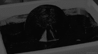 Emerging GIFs - Get the best gif on GIFER
