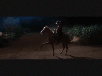 Django GIFs - Get the best gif on GIFER
