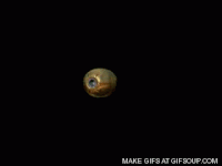 Bullets GIFs - Get the best gif on GIFER