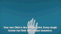 Forensics GIFs - Get the best gif on GIFER
