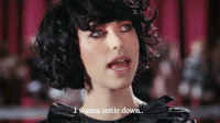 Settle GIFs - Get the best gif on GIFER