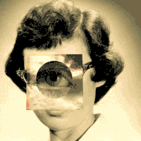 Unknown GIFs - Get the best gif on GIFER