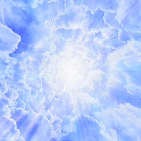 Holy GIFs - Get the best gif on GIFER