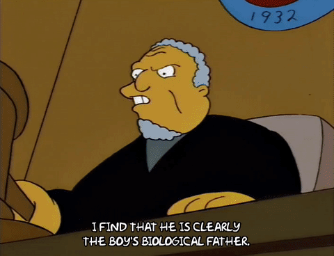 Imposing GIFs - Get the best gif on GIFER