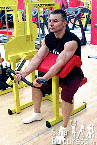 Bicep GIFs - Get the best gif on GIFER