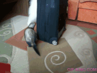 Crafty GIFs - Get the best gif on GIFER