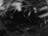 Uncertainty GIFs - Get the best gif on GIFER