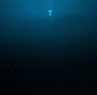 Lowering GIFs - Get the best gif on GIFER