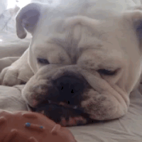 Productivity GIFs - Get the best gif on GIFER