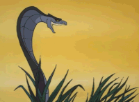 Cobra GIFs - Get the best gif on GIFER