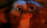 Gremlin GIFs - Get the best gif on GIFER