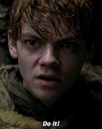 Collector GIFs - Get the best gif on GIFER