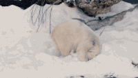 Comfy GIFs - Get the best gif on GIFER